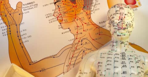 MERIDIANI ENERGETICI: COSA SONO (e 2 segreti sconosciuti) - Fascial Full®